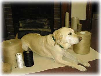 Contact – Stuart C. Hurlbert & Co.